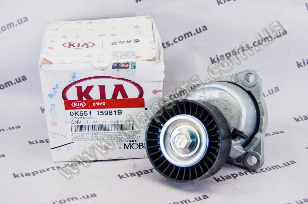 Купить Ролик натягу ременя генератора (з натягувачем в зборі ...