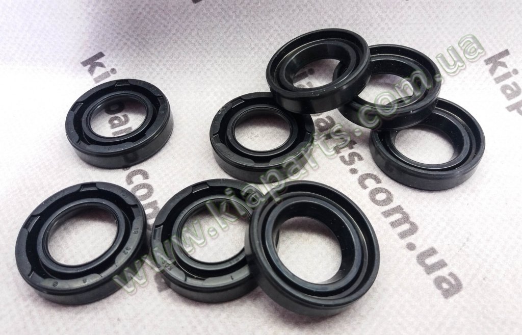 Купить Прокладка свічкового колодязя - 224432A100 - Accent 1,5 TCI, Rio ...