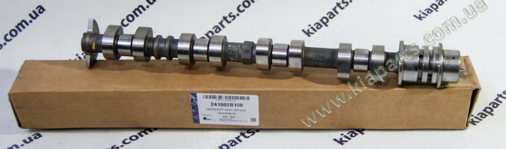 Купить Розподільчий вал двигуна впускний - 241002B110 - 1.4i i30 08 ...