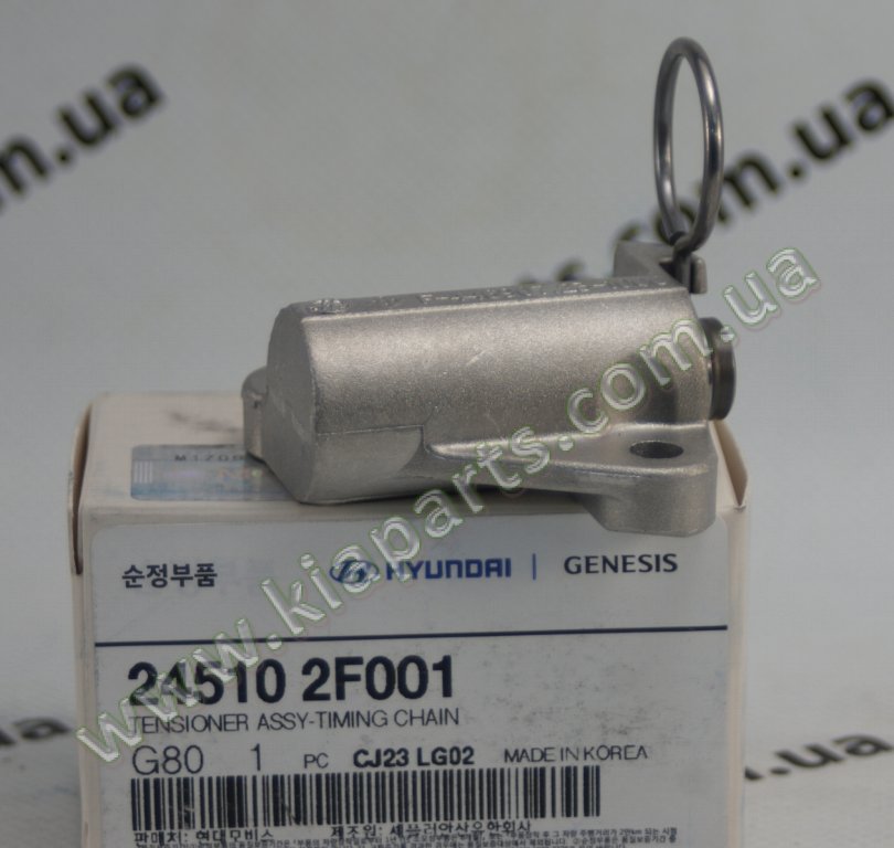 Купить Гідронатягувач ланцюга приводу ПНВТ - 245102F001 - Santa Fe 10 ...