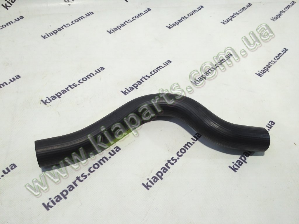 Купить Патрубок радіатора охолодження верхній - 254113X600 - Elantra 11 ...