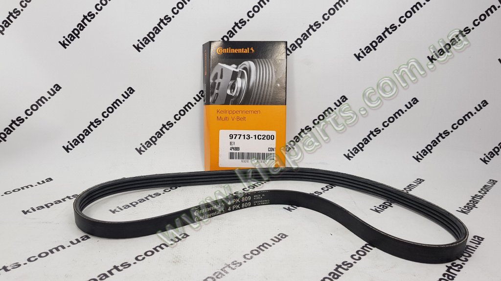 Купить Ремінь поліклиновий - 977131C200 - Cerato 1.6i. По лучшей цене ...